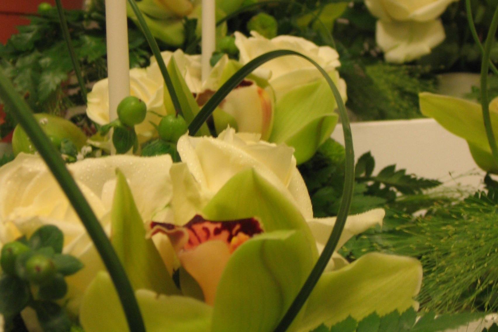 Maison des Fleurs - Consulta la disponibilità e i prezzi