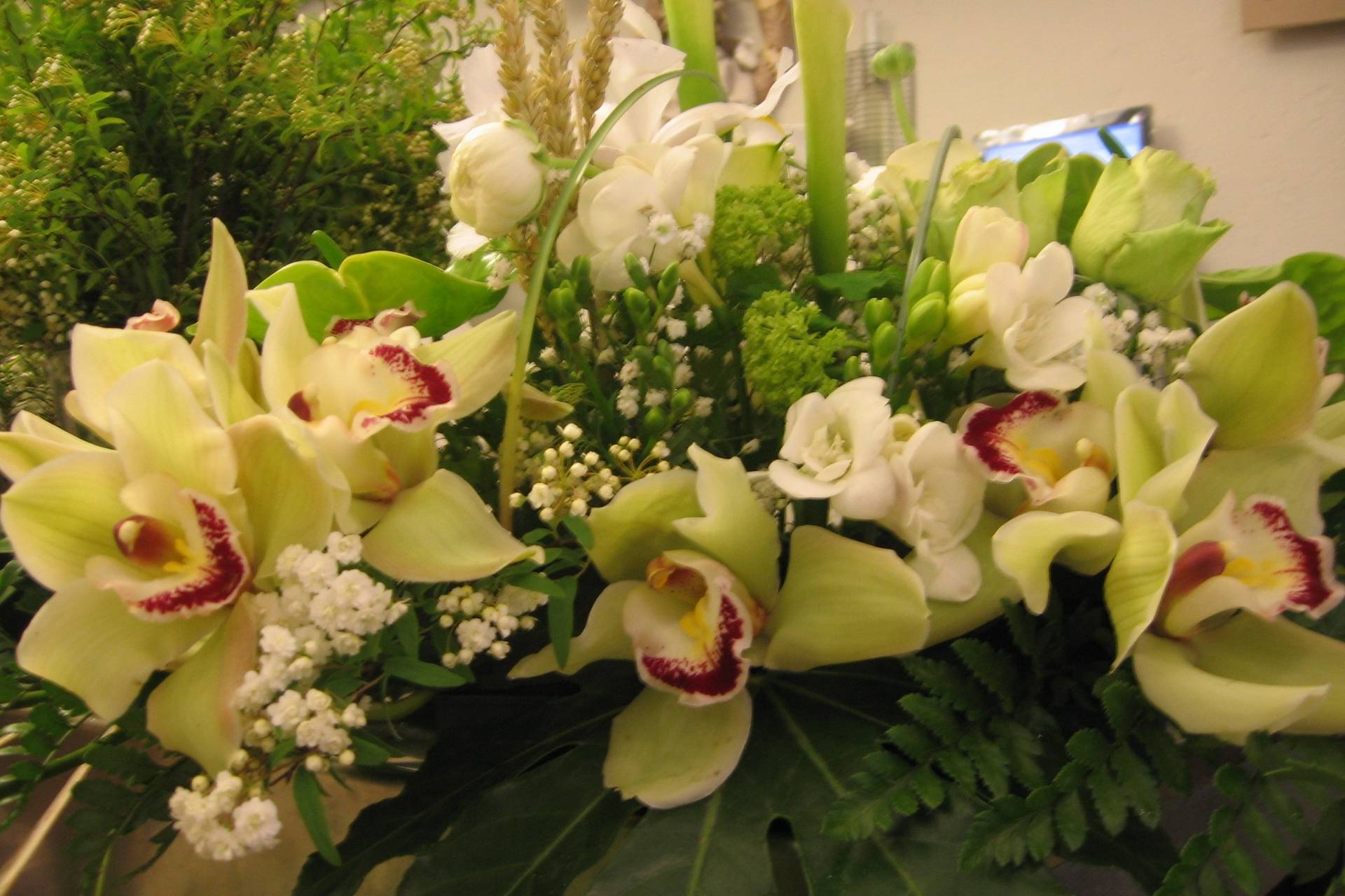 Maison des Fleurs - Consulta la disponibilità e i prezzi